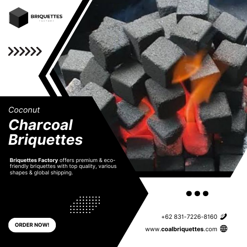 The Best Coconut Charcoal Briquette for Your Needs – High Quality & Eco ...