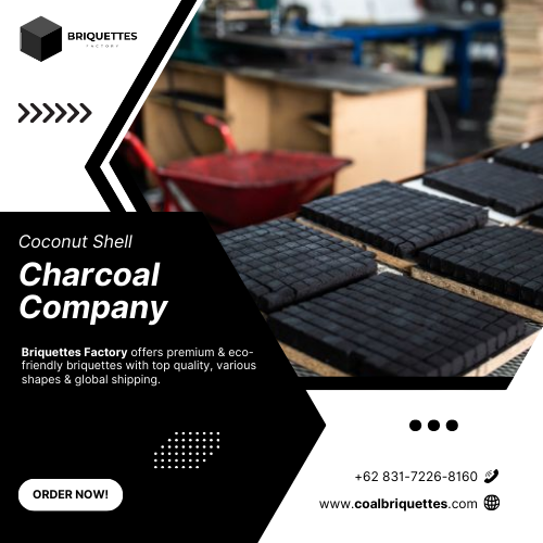 Coconut Shell Charcoal Company – The Future of Sustainable Fuel ...